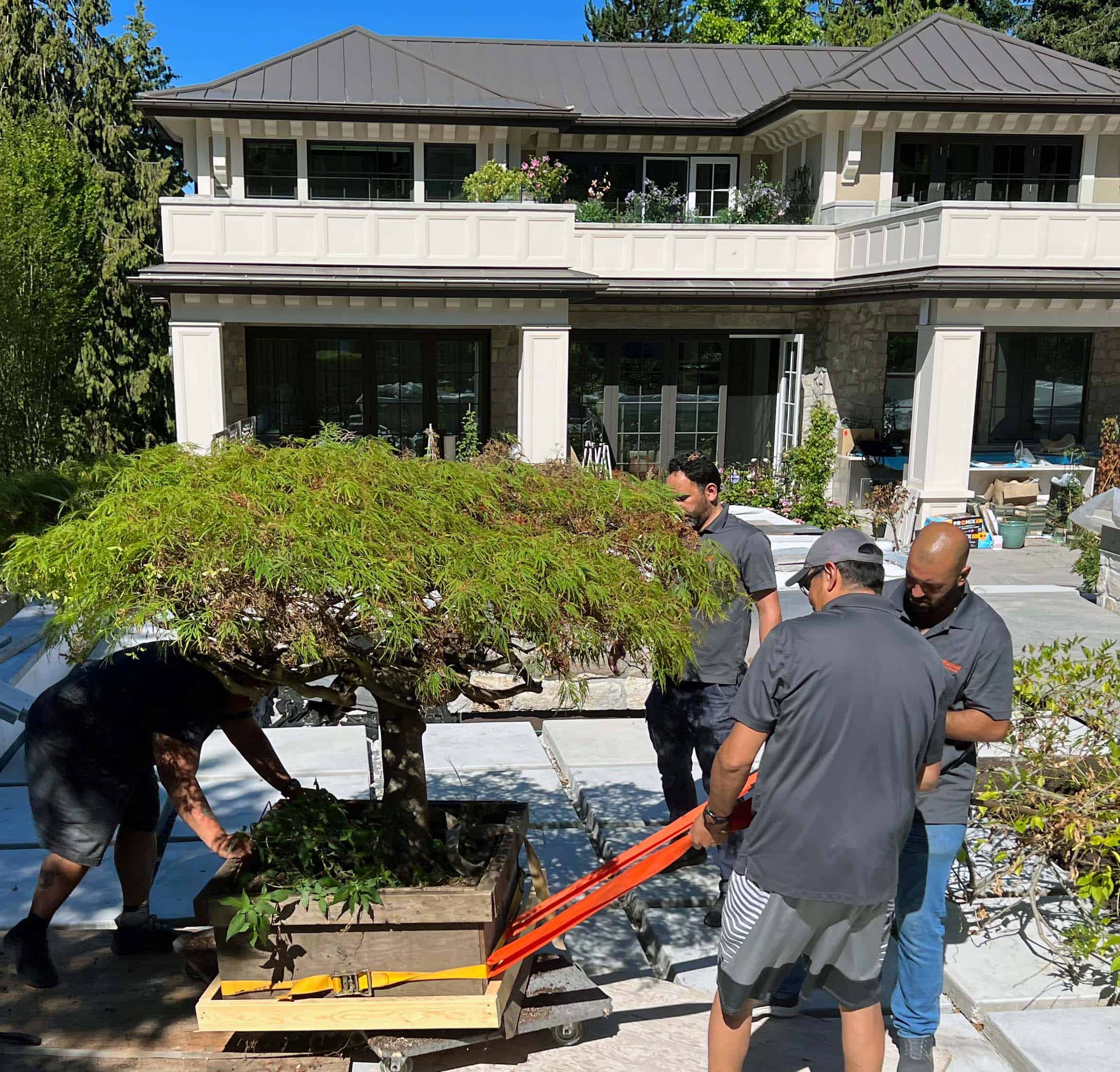 Guide to Moving Plants | Ferguson Moving & Storage